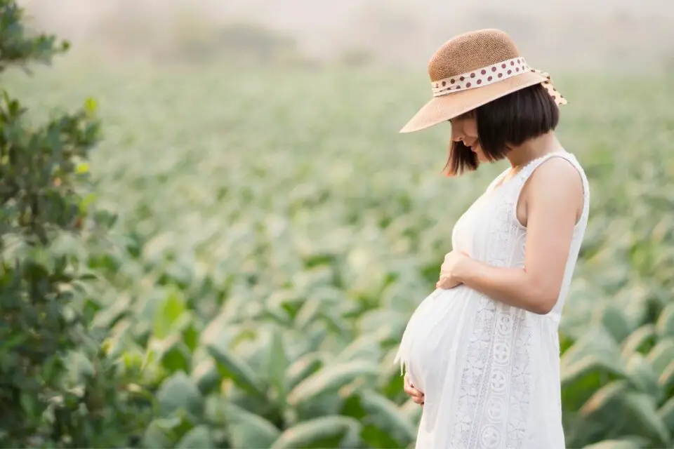 10 Best Maternity Sewing Patterns To Try Out For Yourself